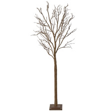 Christmas Trees | Temple & Webster