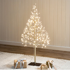 Christmas Trees | Temple & Webster