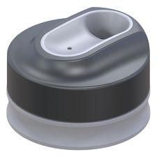 Water Bottles | Temple & Webster