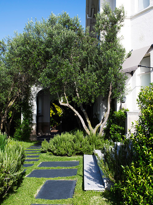 One thing for Spring: Will Dangar | Temple & Webster