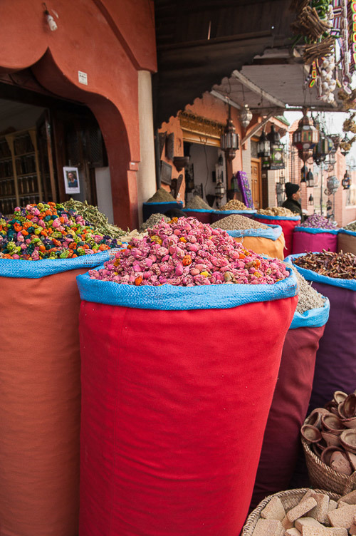 Shop Marrakech with luxe nomad Lee Tulloch | Temple & Webster