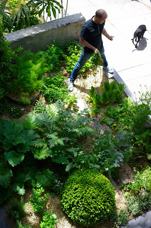 Richard Unsworth's one thing for Spring | Temple & Webster