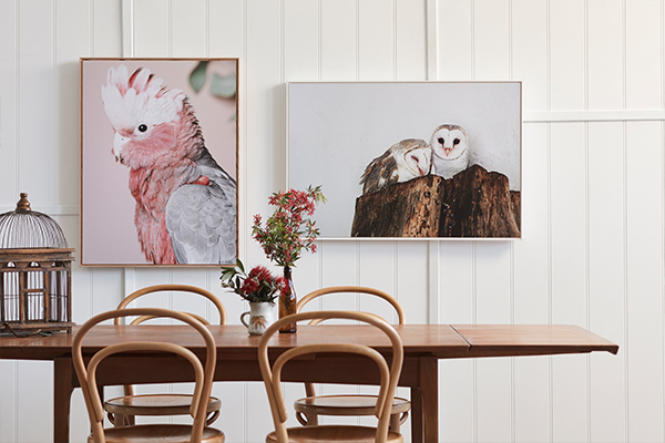 Meet the maker: photographer Amelia Anderson | Temple & Webster