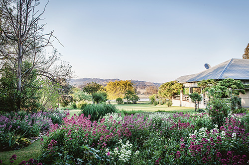 Sneak peek: Country Style Gardens | Temple & Webster