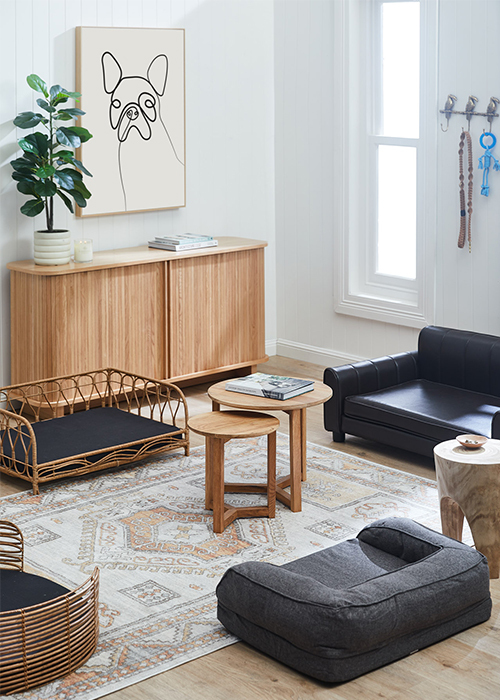 5 steps to creating the ultimate pet living room | Temple & Webster