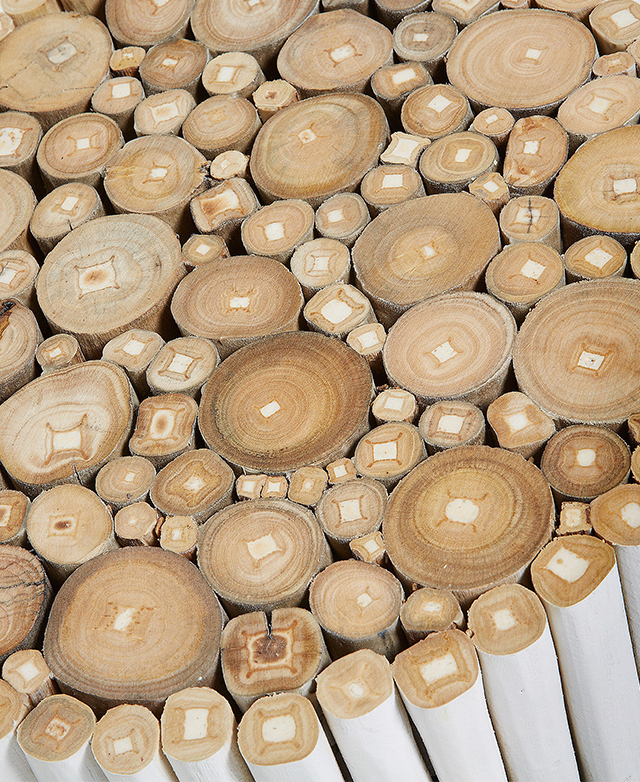 Linea Furniture Peters Wood Side Table | Temple & Webster