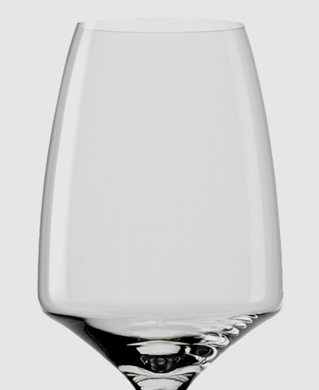 Stolzle Stolzle Experience 450ml Red Wine Glasses | Temple & Webster