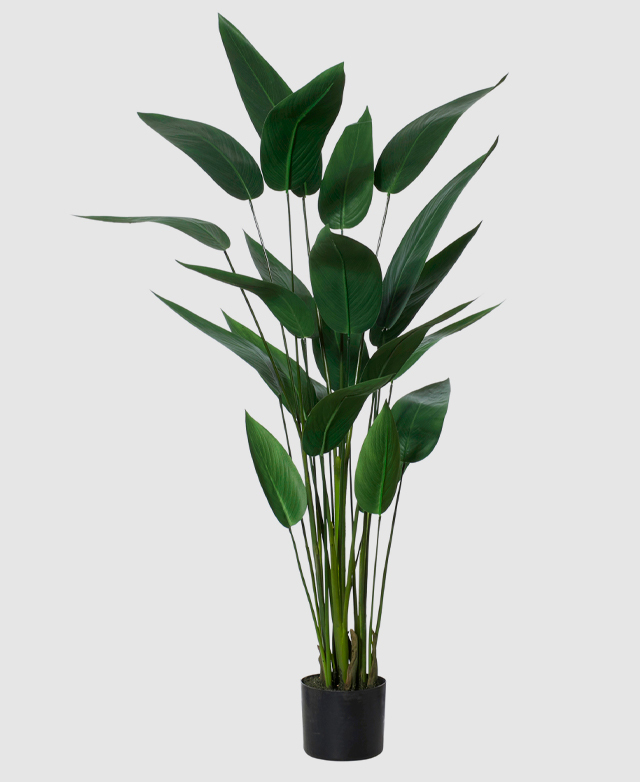 The Home Collective 120cm Potted Faux Sky Bird Plant | Temple & Webster