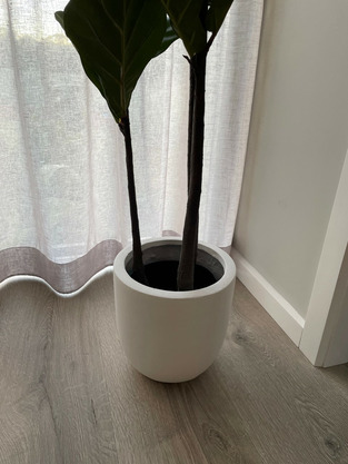 GardenEmporium 25cm White Garden Lite Fibre Clay Egg Planter | Temple ...