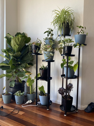 Levede Triangular 5 Tier Steel Pot Plant Stand | Temple & Webster