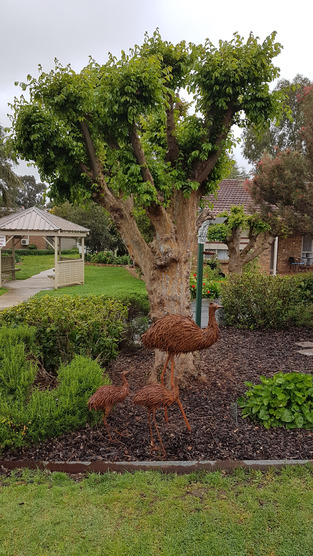 High St. 2 Piece Emu Metal Outdoor Statue Set | Temple & Webster