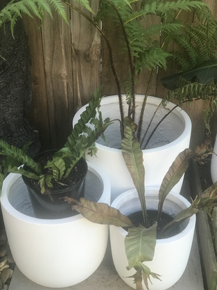 GardenEmporium 3 Piece White Garden Lite Fibre Clay Egg Planter Set ...