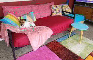 Studio Home Twin Rail Single Daybed Frame | Temple & Webster