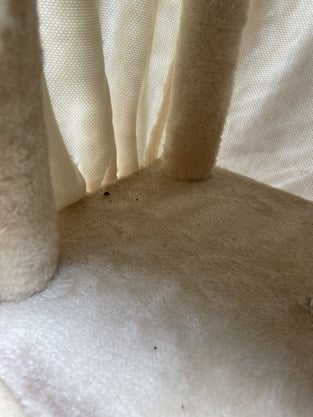 Oakleigh Home 130cm Fiadh Cat Scratching Tree | Temple & Webster