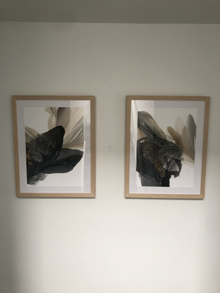 Alcove Studio Fall from Grace I Printed Wall Art | Temple & Webster