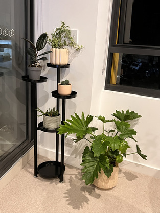Oakleigh Home Triangular 5 Tier Steel Pot Plant Stand | Temple & Webster