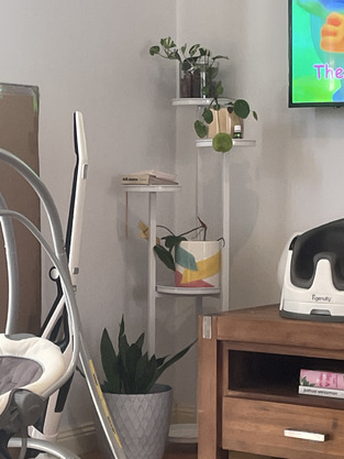 Oakleigh Home Triangular 5 Tier Steel Pot Plant Stand | Temple & Webster