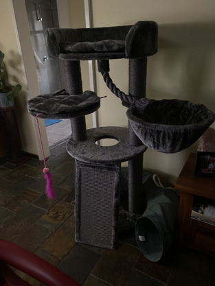 Kazoo 141cm Charcoal 4 Tier Cat Tree | Temple & Webster