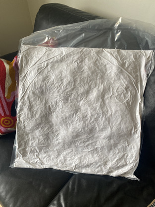 Easy Rest White Square Feather Cushion Insert | Temple & Webster