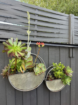 High St. 2 Piece Nesting Floating Elemental Wall Planter Set | Temple ...