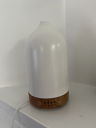 Temple & Webster 100ml Halcyon Ceramic Aroma Diffuser
