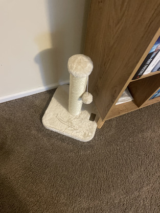 Kazoo Cat Scratching Post with Toy | Temple & Webster