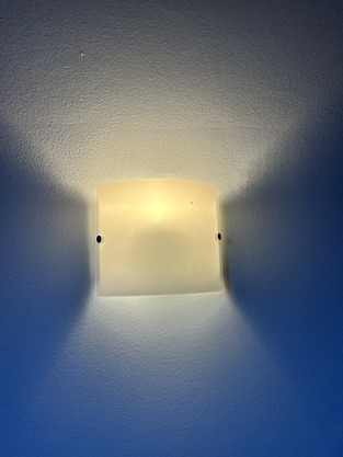 Zander Lighting Wilbur Glass Wall Light | Temple & Webster