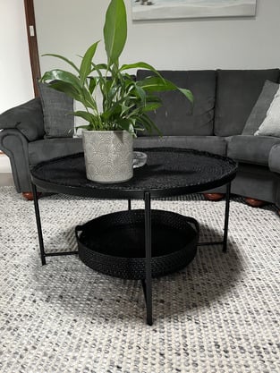 Temple & Webster Maximus Steel Coffee Table