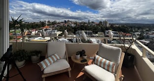 Temple & Webster Hamilton Outdoor Lounge Chair