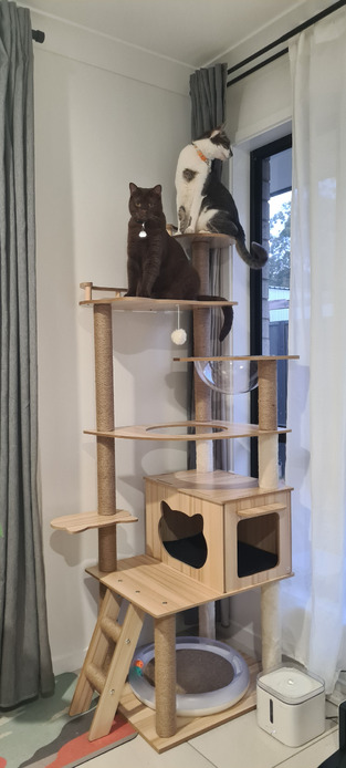 LivingFusion 174cm Athena Cat Tree | Temple & Webster