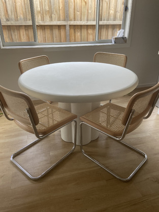 Continental Designs Axel Dining Chairs | Temple & Webster