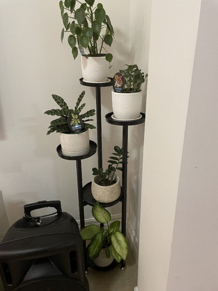 Oakleigh Home Triangular 5 Tier Steel Pot Plant Stand | Temple & Webster