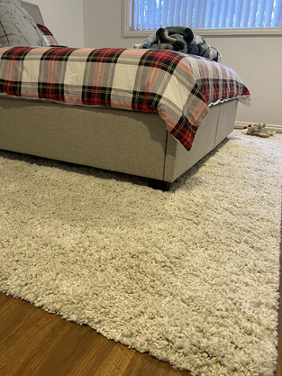 Network Cream Ultra Plush Modern Shag Rug | Temple & Webster