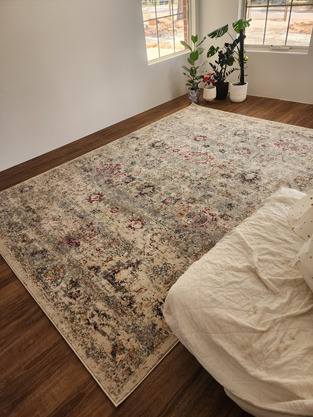 Lifestyle Floors Multi-Coloured Delicate Traditional Rug | Temple & Webster