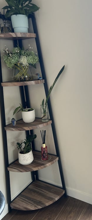 EvieHome Caesar Industrial Corner Shelf | Temple & Webster