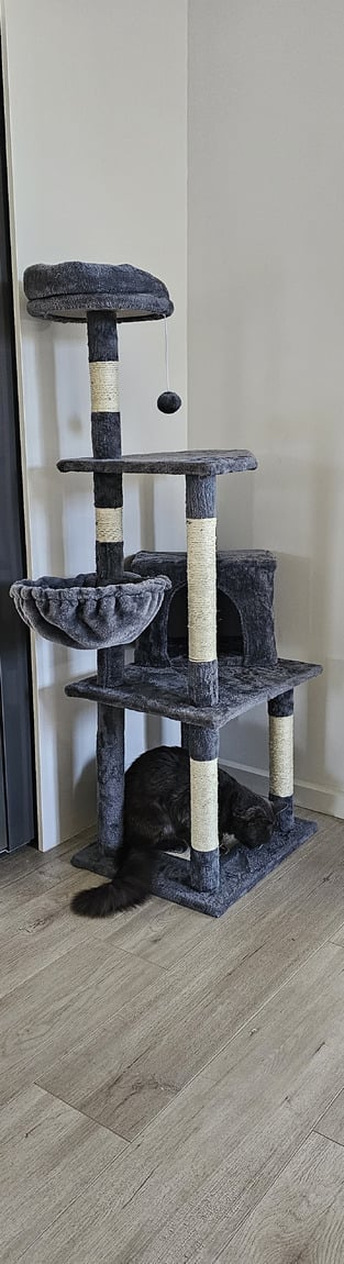 Oakleigh Home 130cm Fiadh Cat Scratching Tree | Temple & Webster