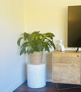 Oakleigh Home Pippin Terrazzo-Look Side Table | Temple & Webster