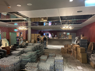 Zander Lighting Tucker 8 Light Pendant | Temple & Webster