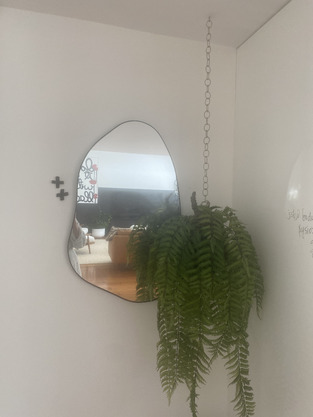 Temple & Webster Pebble Wall Mirror