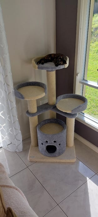 Bono Fido Cream & Grey Cat Circus Condo | Temple & Webster