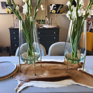 All Natural Hides and Sheepskins Natural Springbok Hide | Temple & Webster