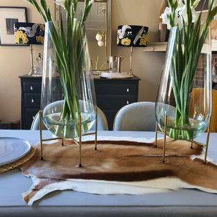 All Natural Hides and Sheepskins Natural Springbok Hide | Temple & Webster