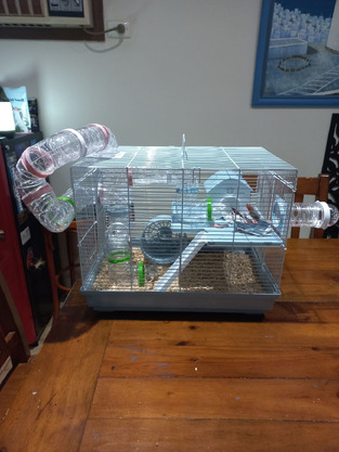 Bono Fido Large Mouse Cage with Tunnels | Temple & Webster