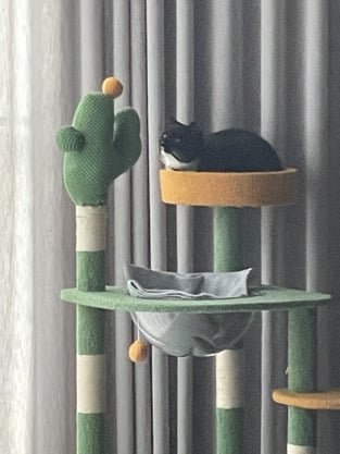 LivingFusion 130cm Cacto Cat Tree | Temple & Webster