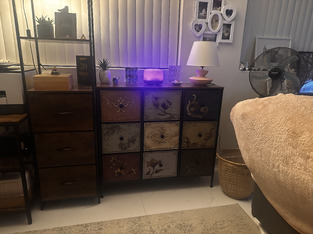 Oakleigh Home Danai 9 Drawer Chest | Temple & Webster