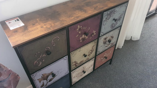 Oakleigh Home Danai 9 Drawer Chest | Temple & Webster