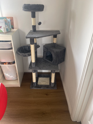 Oakleigh Home 130cm Fiadh Cat Scratching Tree | Temple & Webster