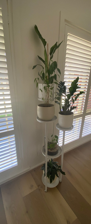 Oakleigh Home Triangular 5 Tier Steel Pot Plant Stand | Temple & Webster