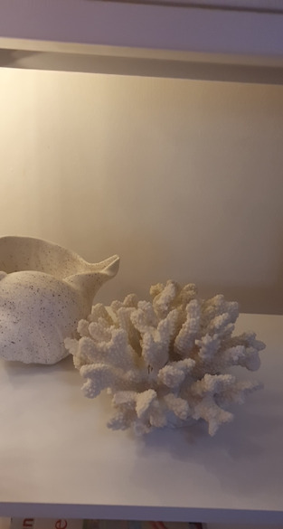 Chartwell Home Small Faux Coral Table Accent | Temple & Webster