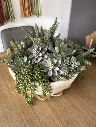 The Home Collective 37cm Faux Succulent with Cement Pot | Temple & Webster